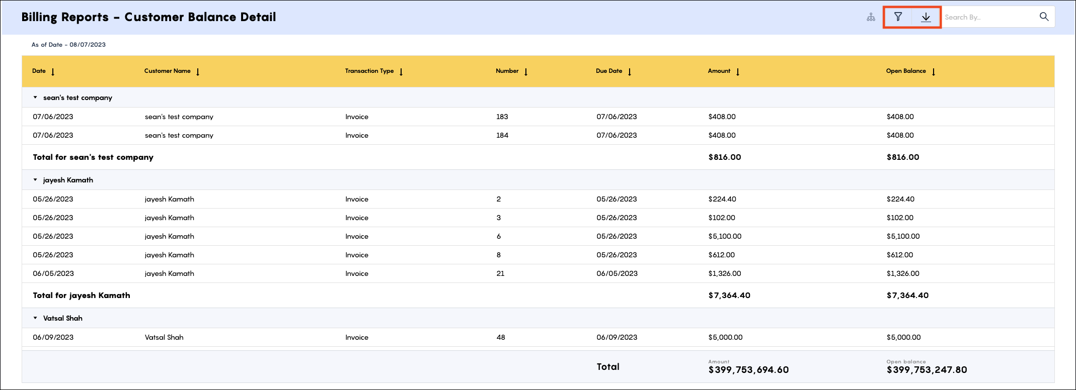Customer Balance Detail Report